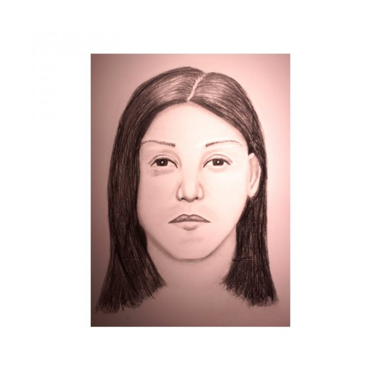 Lyle Stevik - DNA Doe Project Cases