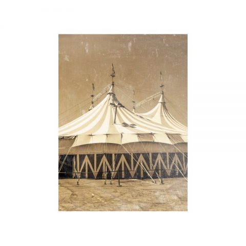 Hartford Circus Fire Victims | DNA Doe Project