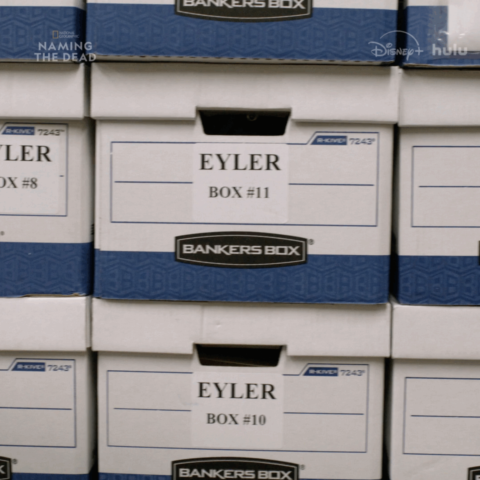 Naming the Dead | DNA Doe Project